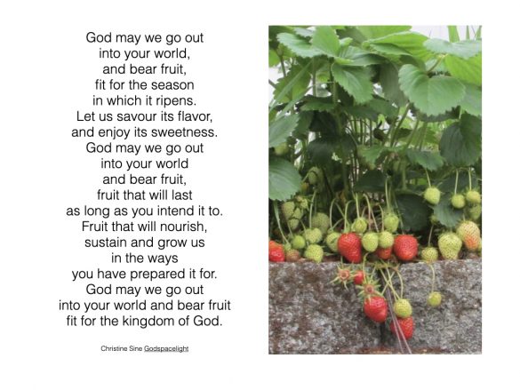 Meditation Monday – The Gift of Strawberries - Godspacelight