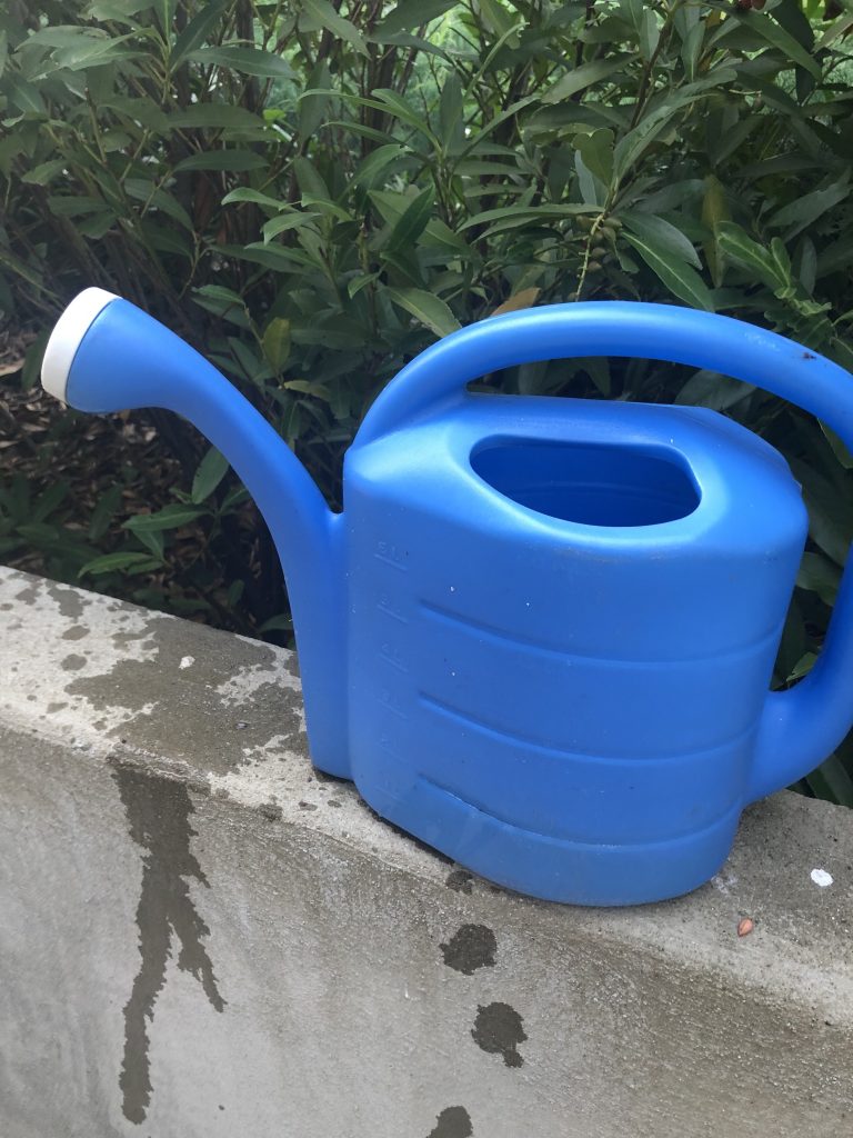 Freerangefriday: What’s the Gardener Up to in your Garden? - Godspacelight