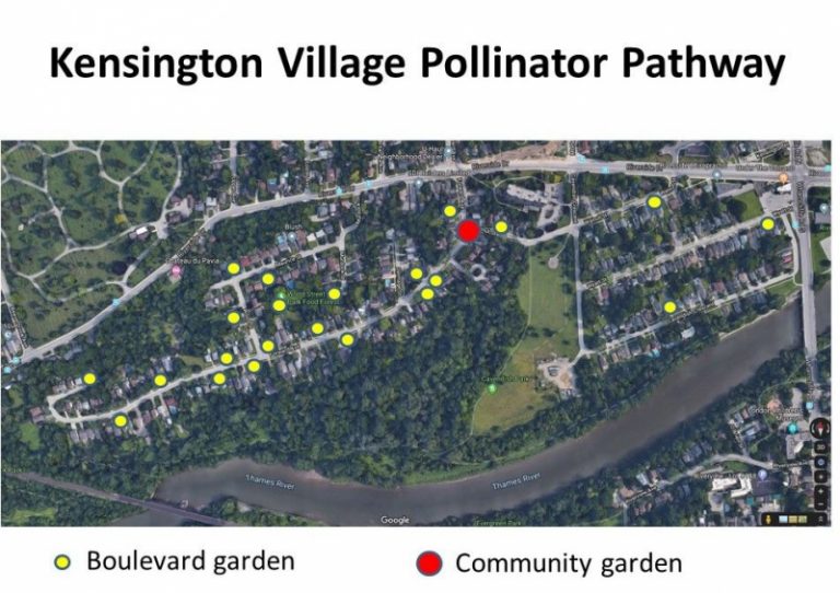 Blog – Godspacelight