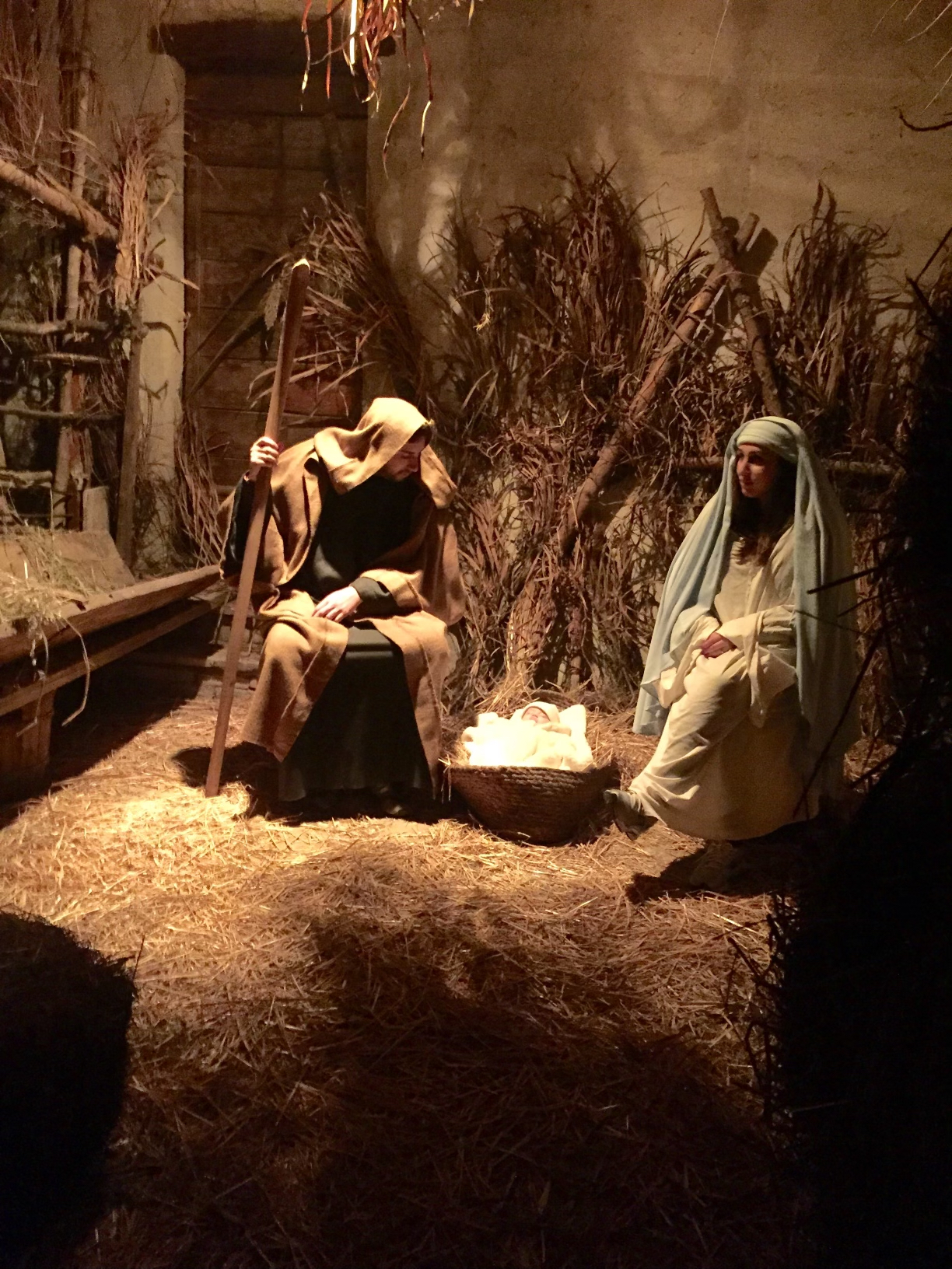 FreerangeFriday: Advent as Pilgrimage - Godspacelight