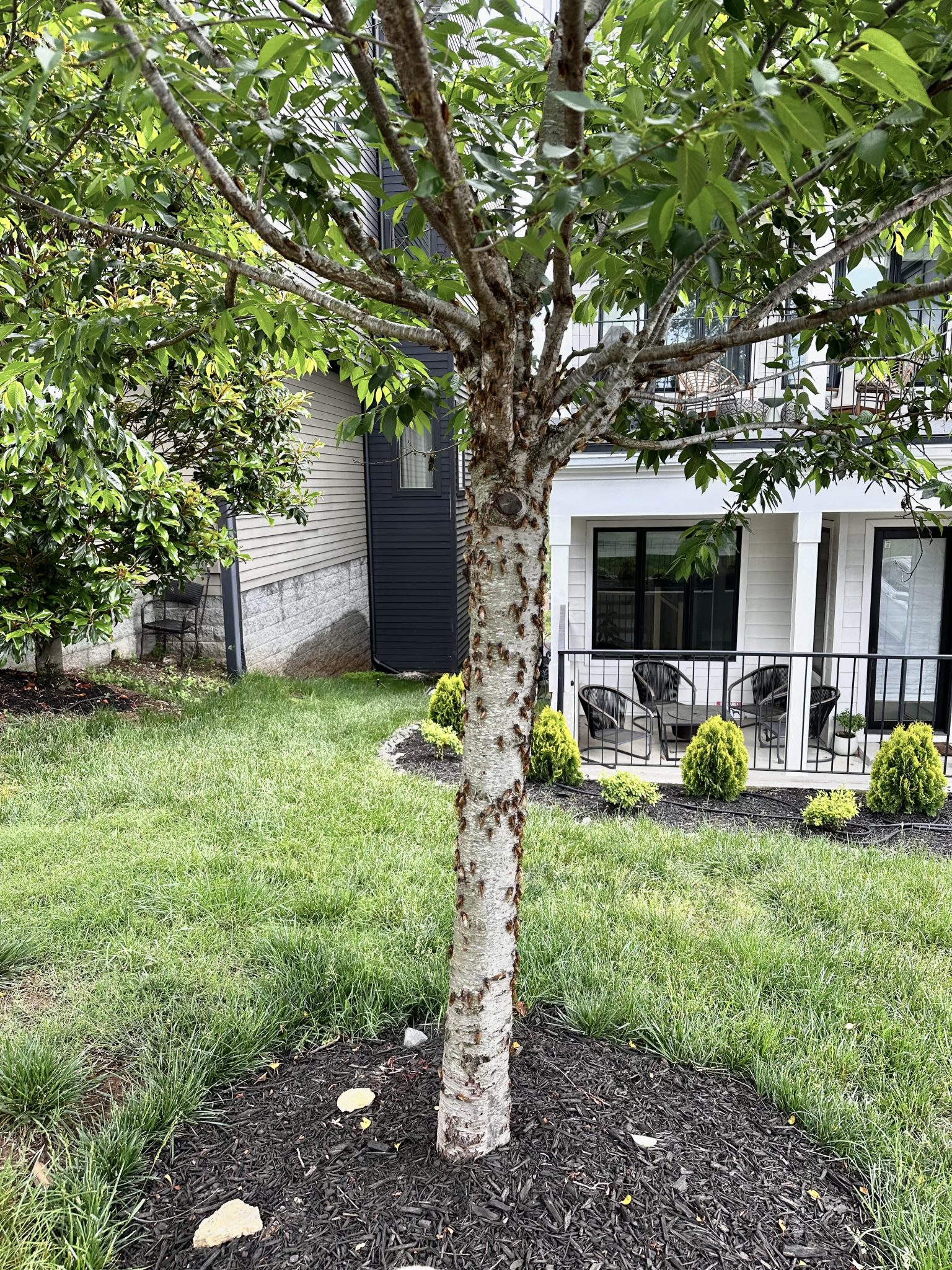 Blog - Godspacelight