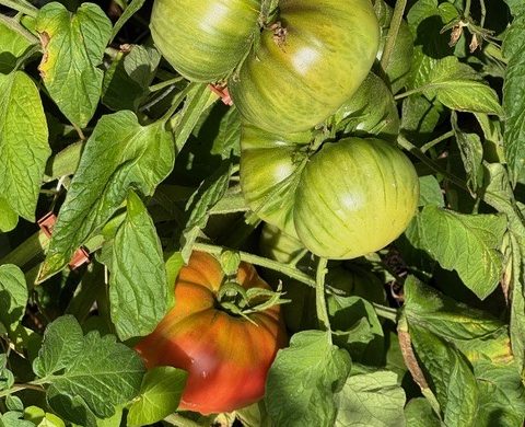 Falling In Love With God – A Prayer by Father Pedro Arrupe - Godspacelight