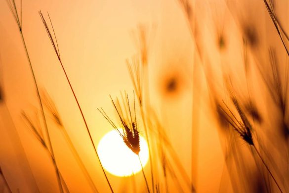 Falling In Love With God – A Prayer by Father Pedro Arrupe - Godspacelight