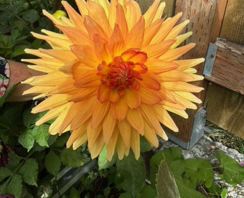 Falling In Love With God – A Prayer by Father Pedro Arrupe - Godspacelight